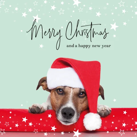Kerstkaart hond met kerstmuts