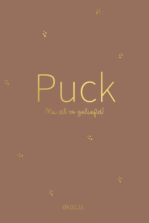 Geboortekaartje dochter met rood roest kleur en folie stipjes