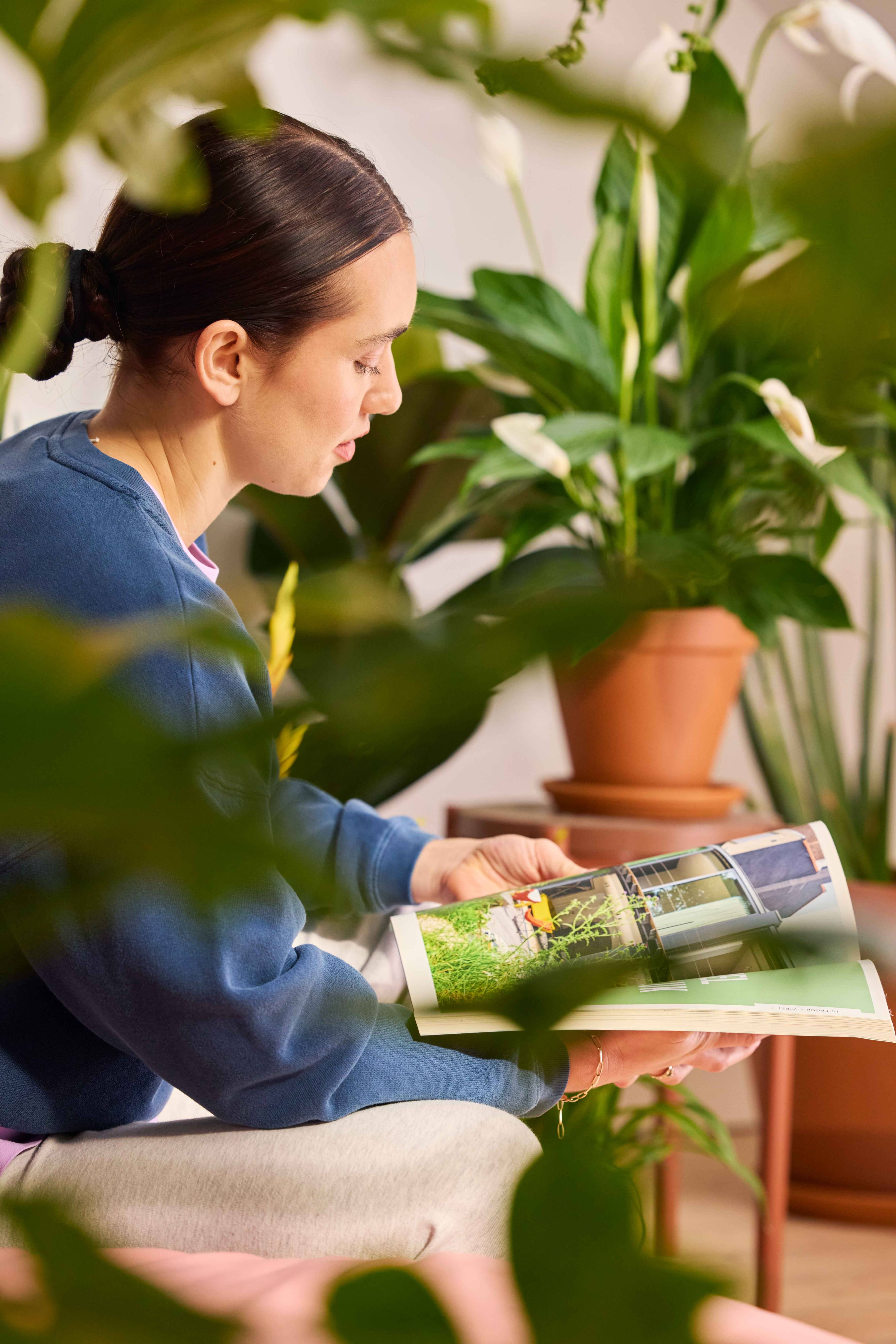 Comment choisir vos plantes pour le salon - Plants & Flowers Foundation