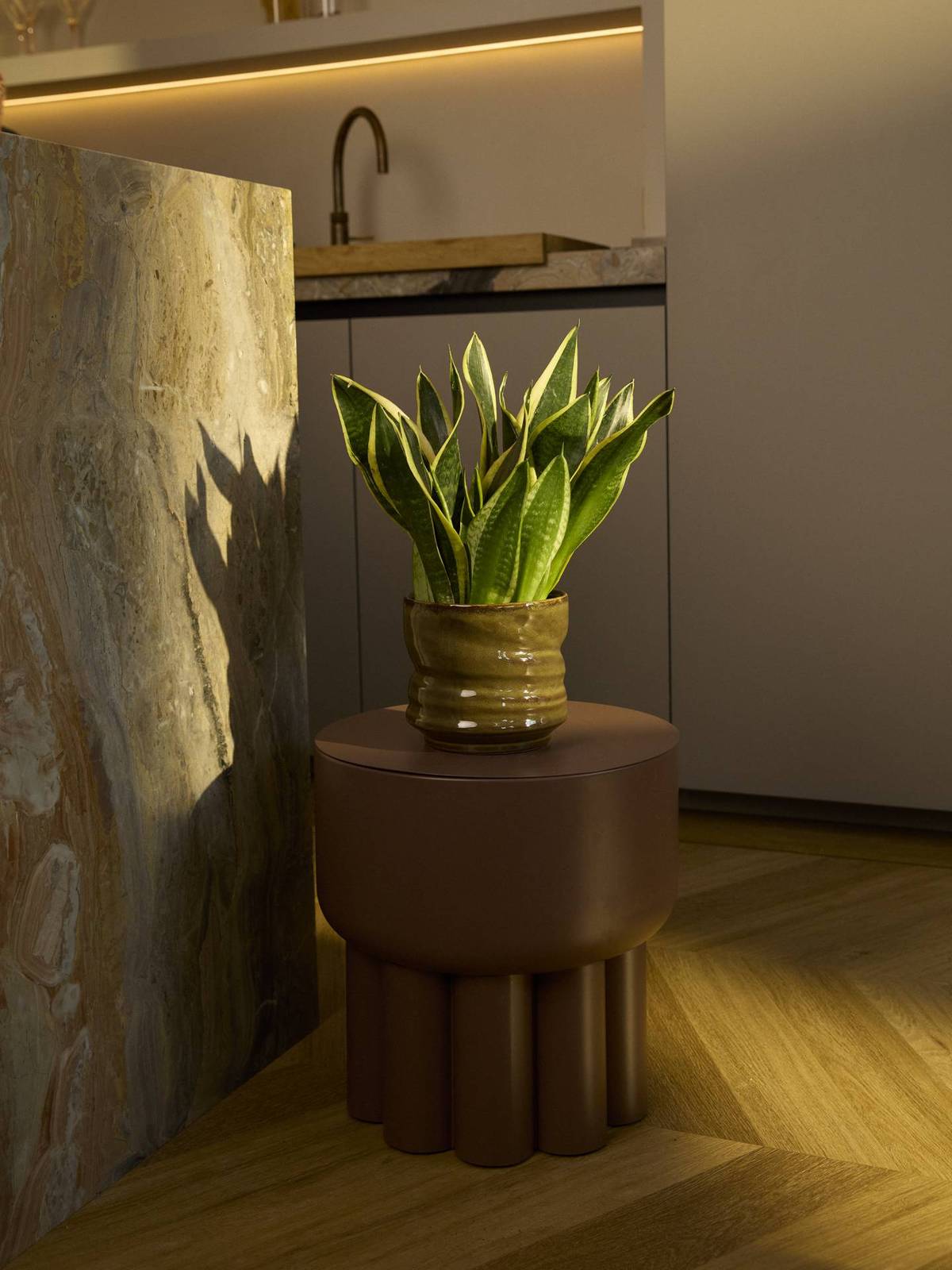 Top 10 air-purifying plants - Plants & Flowers Foundation