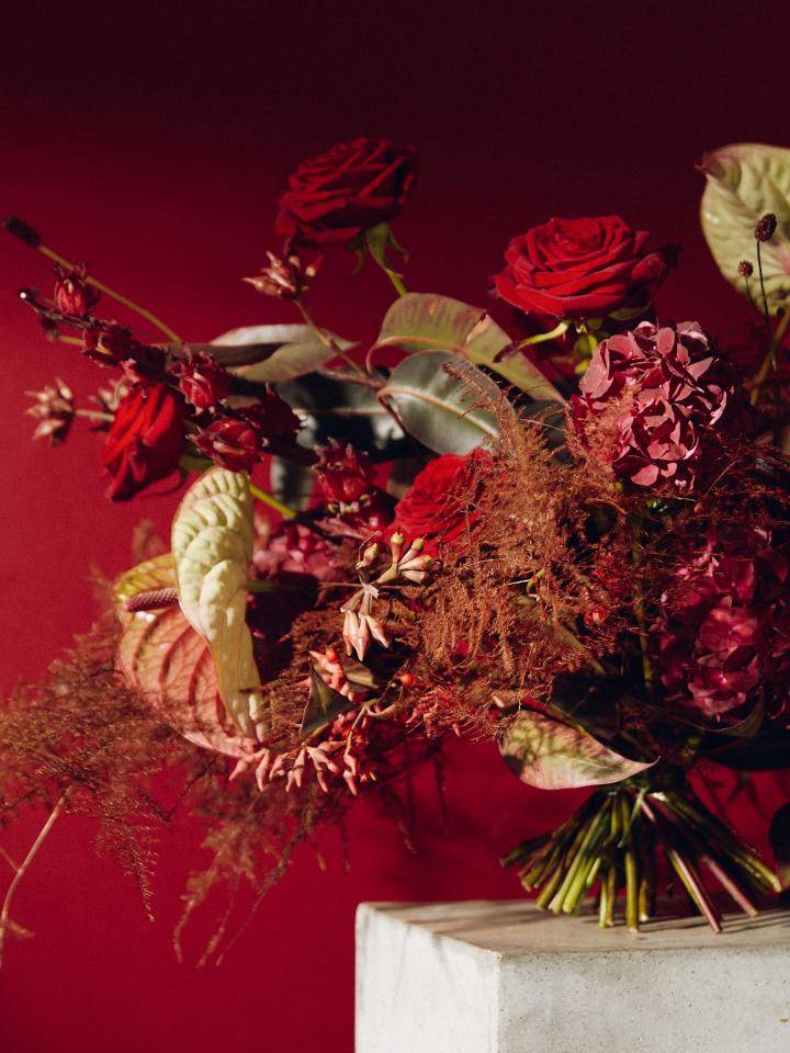 Stories - Plants & Flowers Foundation