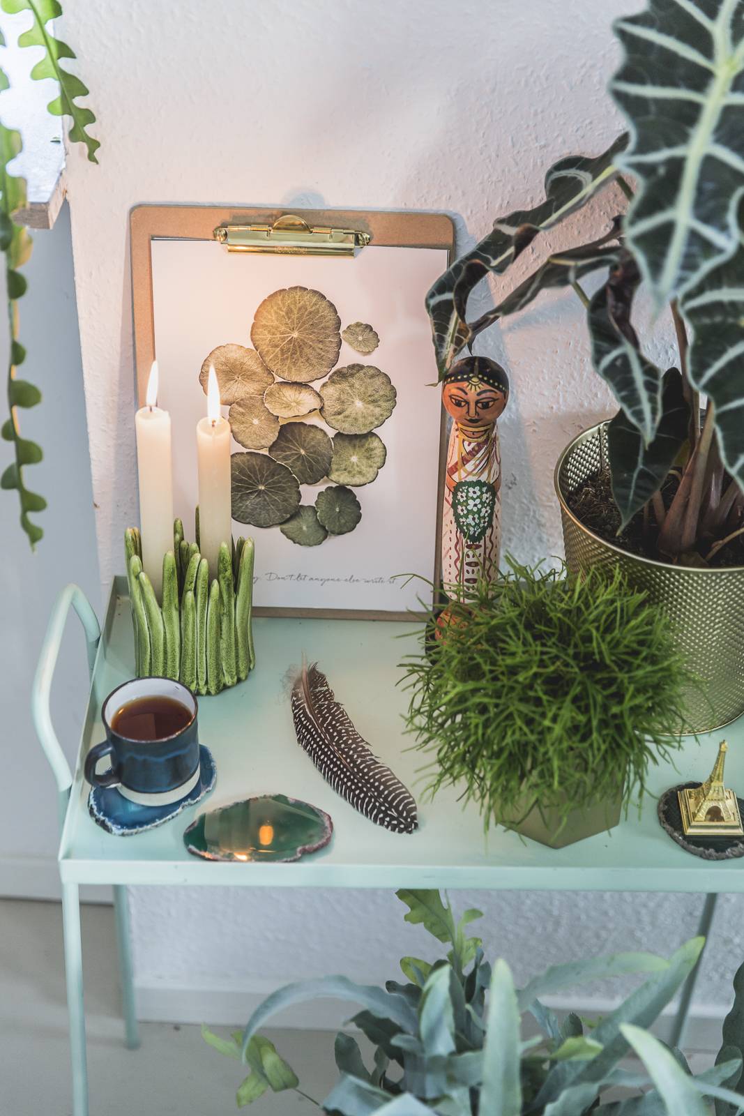 Personal plant altar - Plants & Flowers Foundation