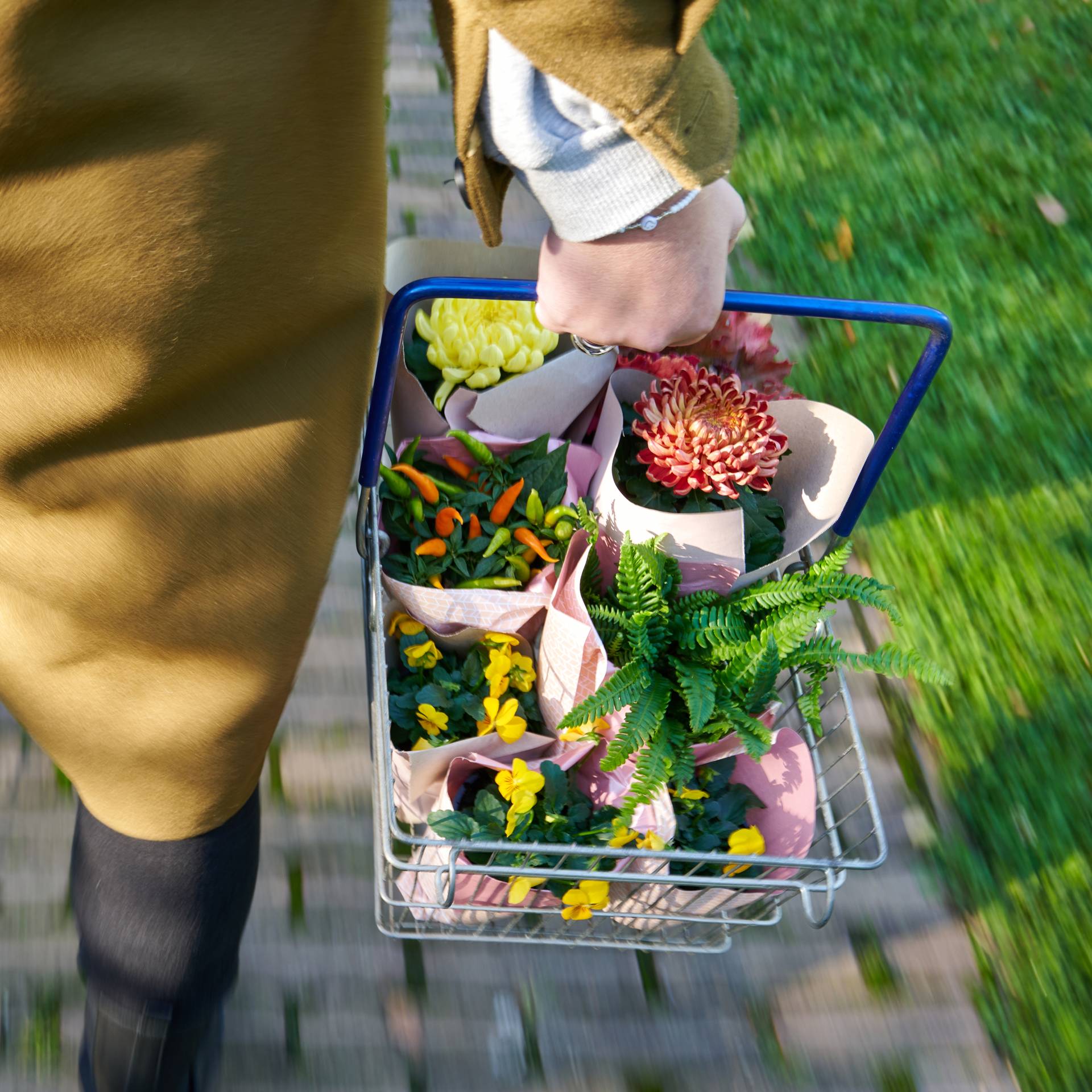 Customer journey - Business site
